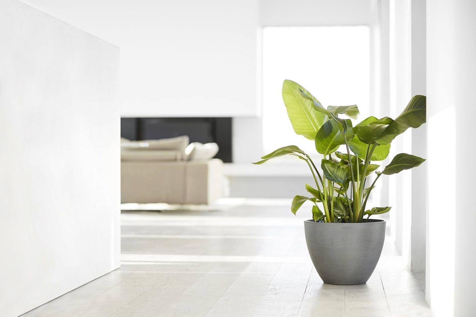 ECOPOTS Antwerp | Indoor Plant Pots | Circular&Co.