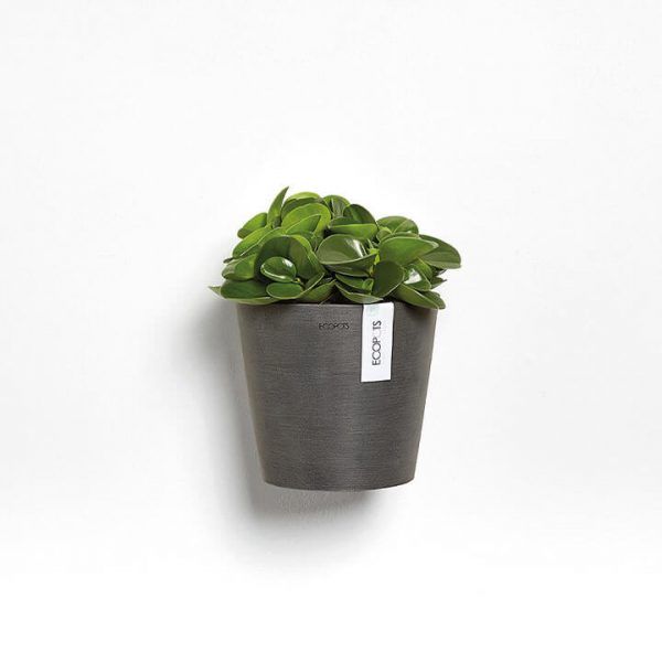ECOPOTS Amsterdam Wall | Succulent Planters | Circular&Co.