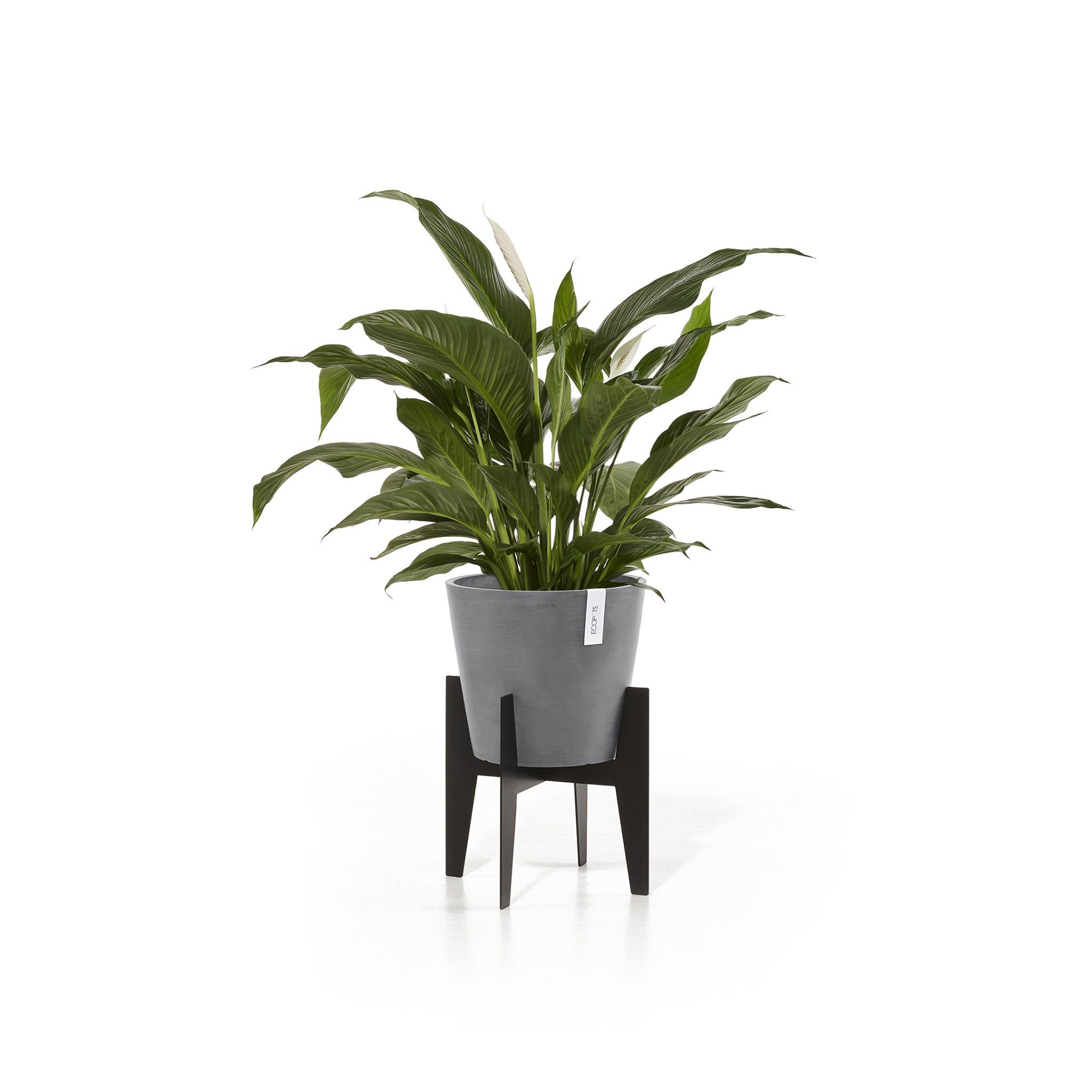 Ecopots: Recycled Plant Pots | Circular&Co.